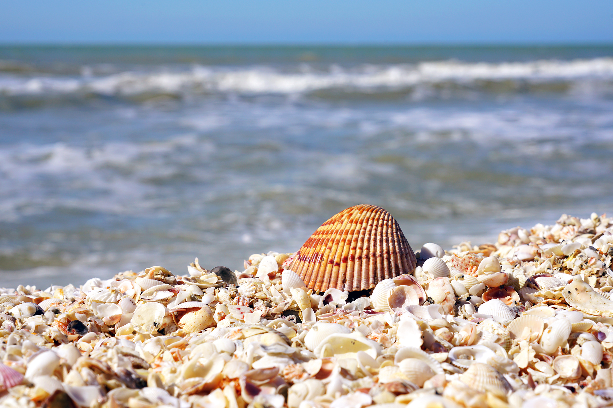 Kør-selv ferie på Sanibel Island | Rejs med BENNS